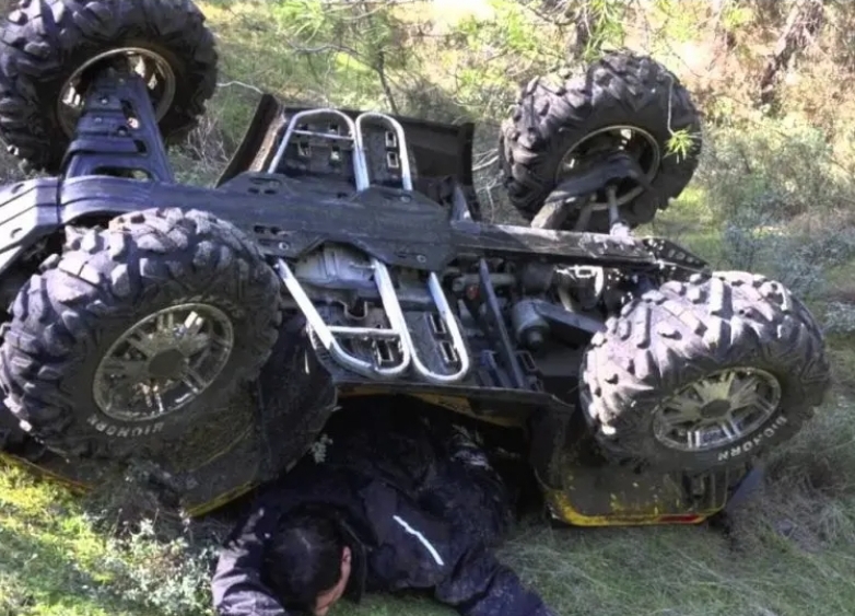Questions surround Moultrie man’s death: K-9 bite or car accident ...