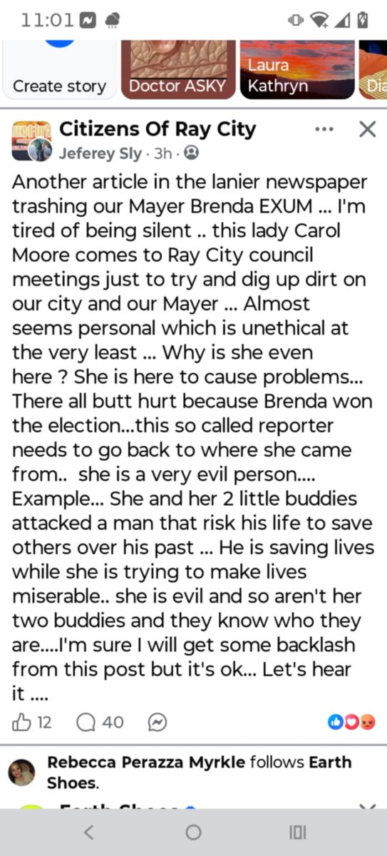 Ray City Councilman Criticizes Local Reporter in Facebook Post ...