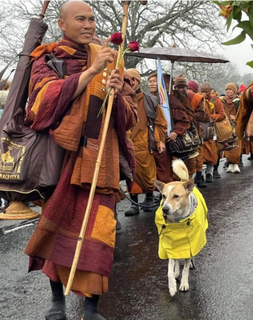 Buddhist Monks’ ‘Walk for Peace’ Reaches Georgia-South Carolina Line as ...