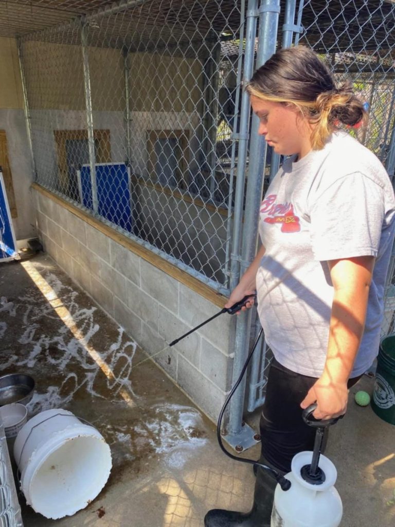 Dedicated Animal Control Worker Seriously Injured in 3rd Pit Bull ...